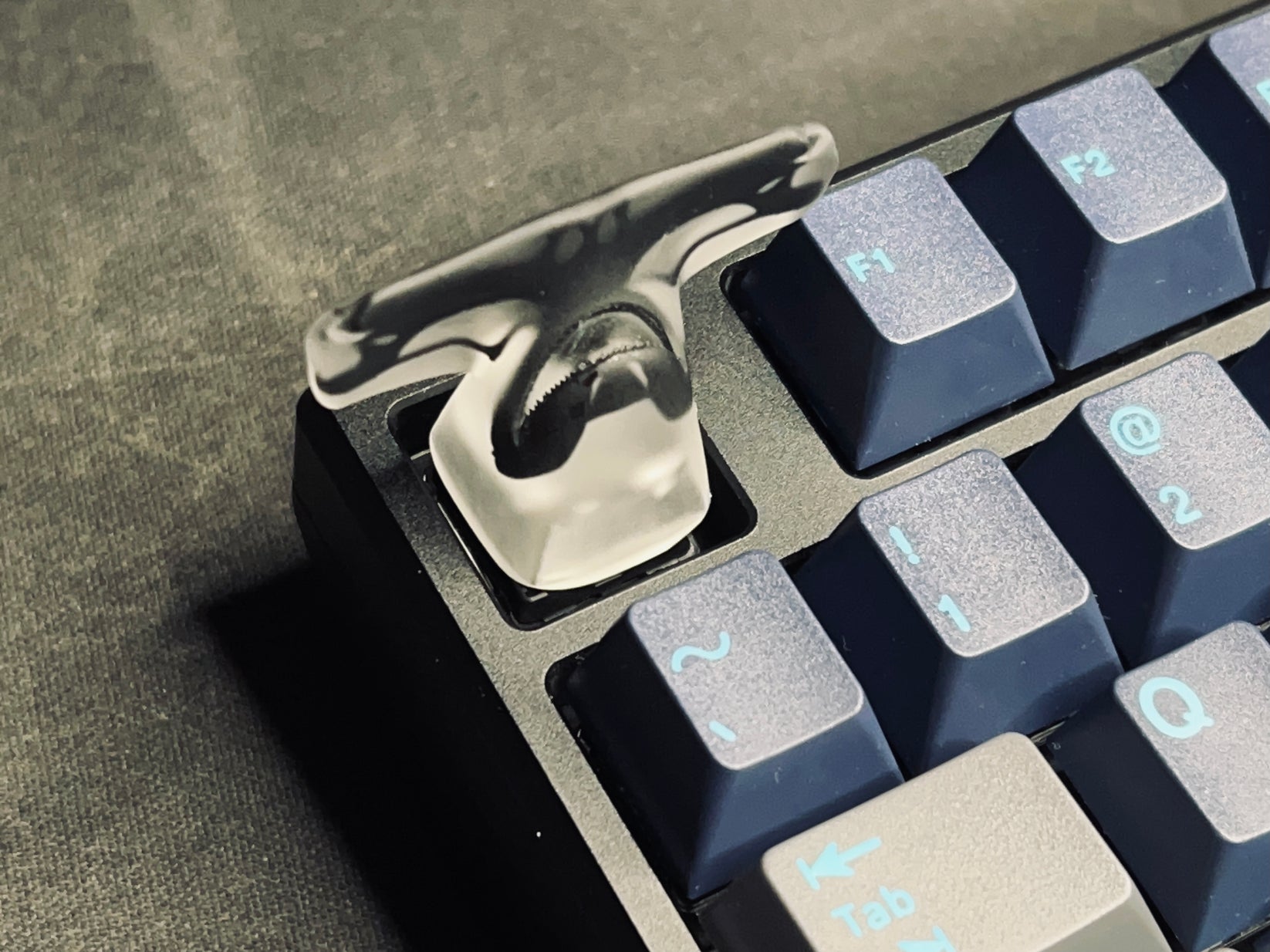 Skeletal Mokarran : Carbon – Escape Keyboard