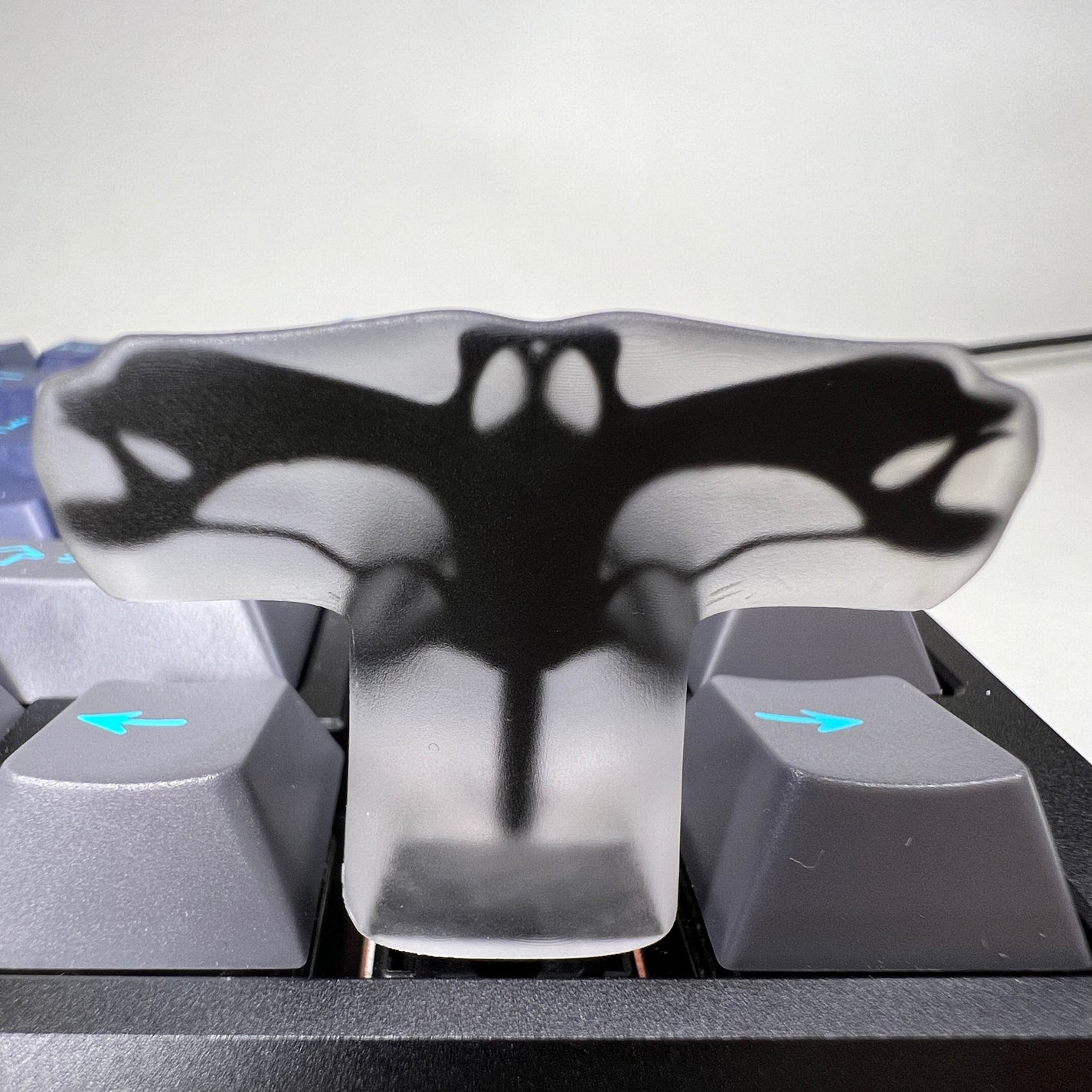 Skeletal Mokarran : Carbon – Escape Keyboard